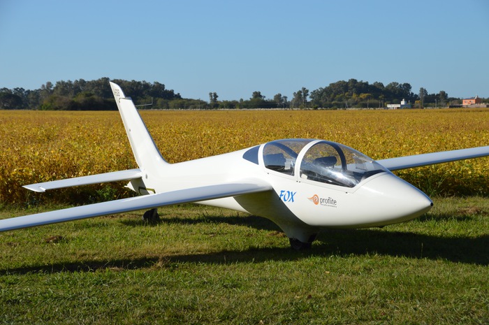 Instructor de Vuelo de Planeador